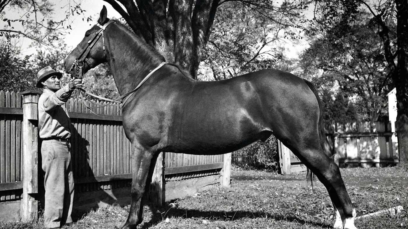 The Benjamin Lewis Spraggins, Sr. Sociable Carriage - Colonial Williamsburg