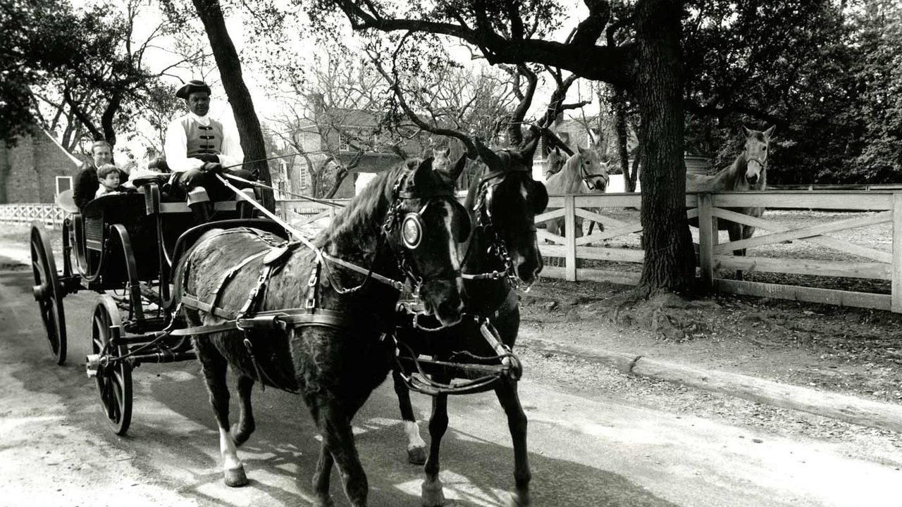 The Benjamin Lewis Spraggins, Sr. Sociable Carriage - Colonial Williamsburg