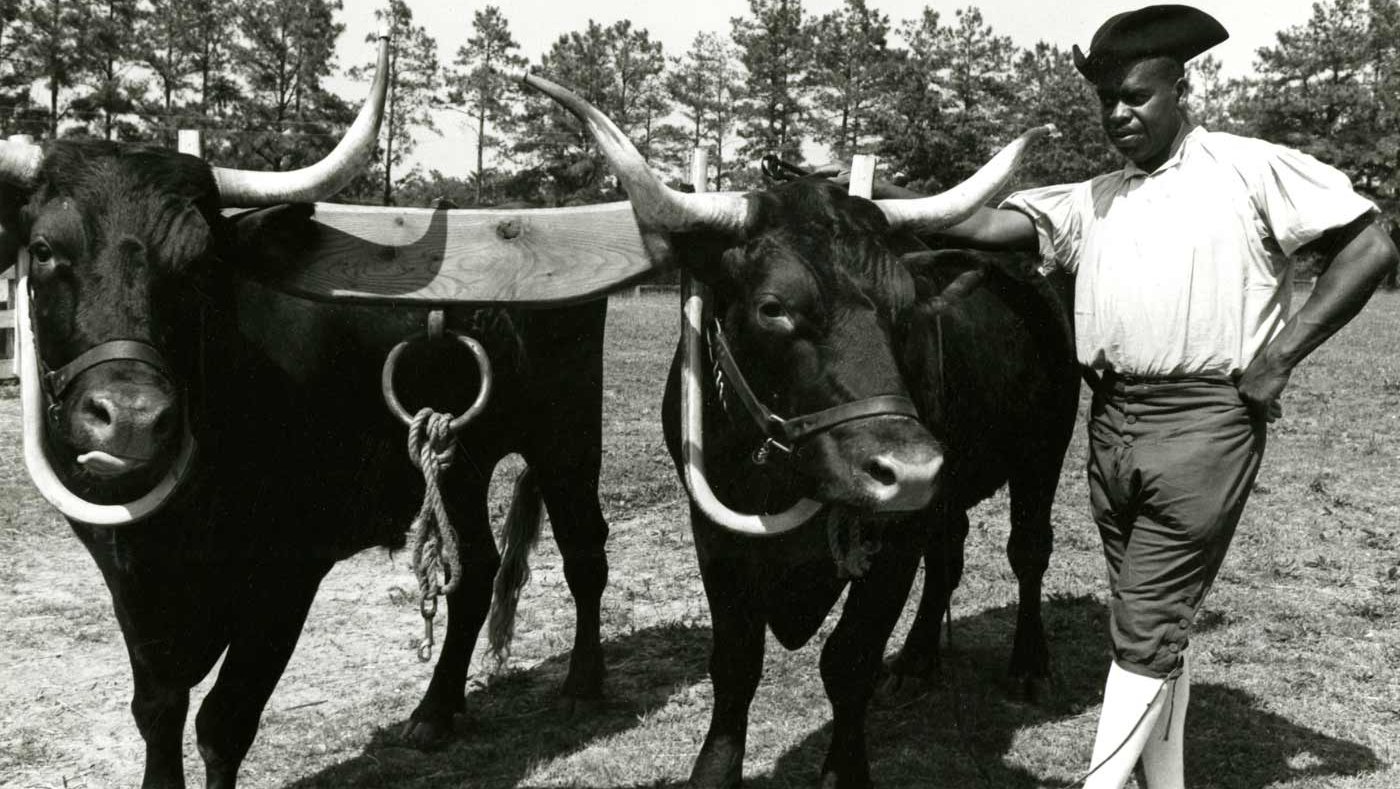 The Benjamin Lewis Spraggins, Sr. Sociable Carriage - Colonial Williamsburg