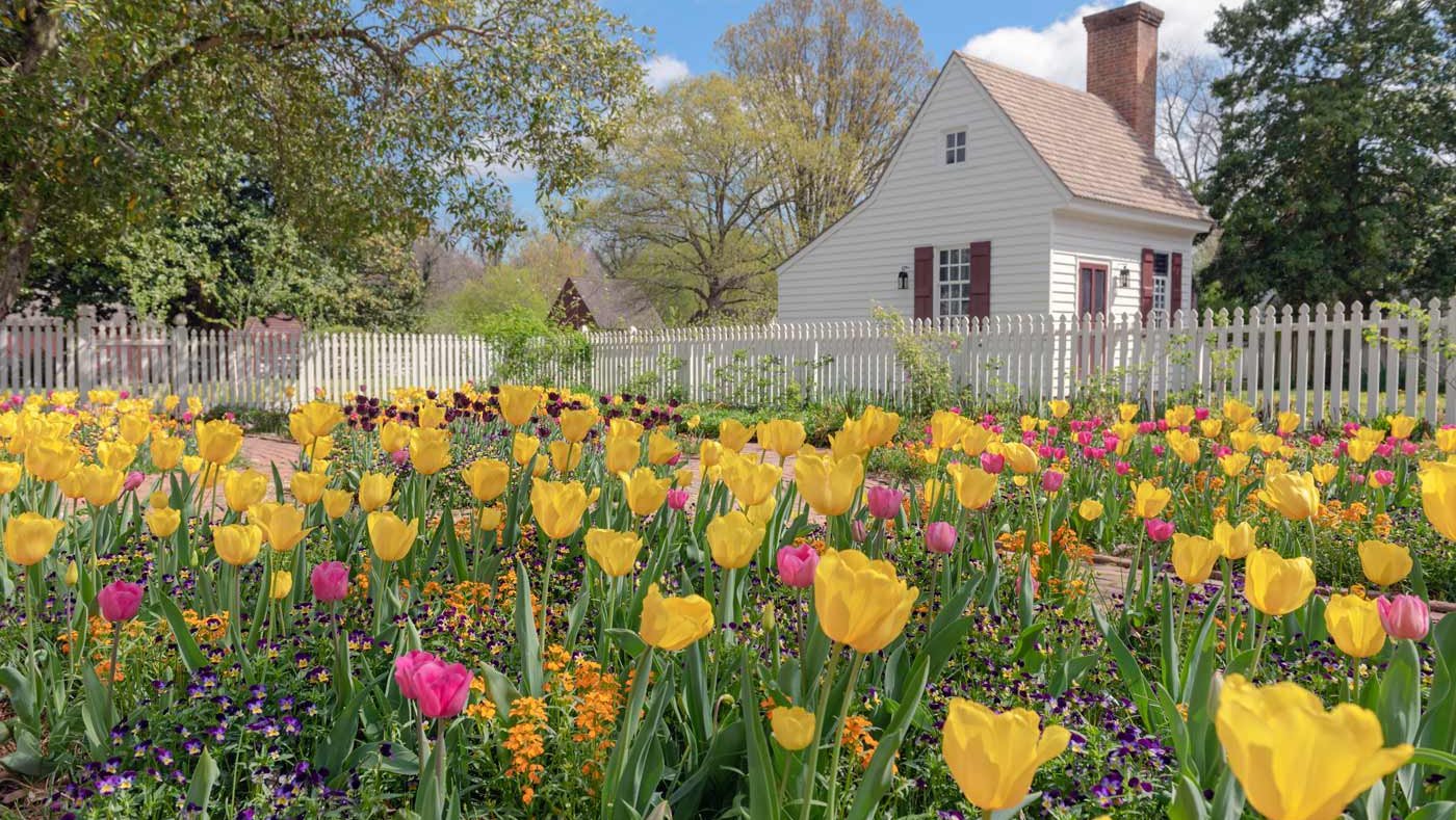 Historic Area - Colonial Williamsburg