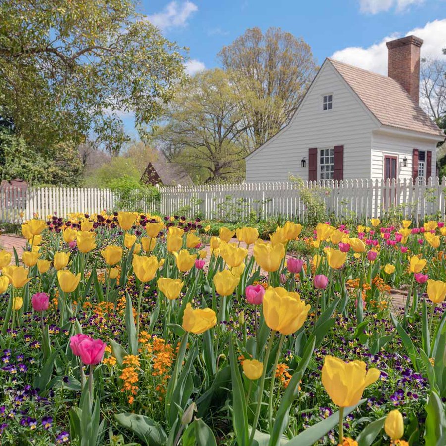Through the Seasons - Colonial Williamsburg