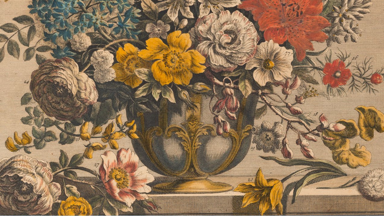 Custis Square Site - Colonial Williamsburg