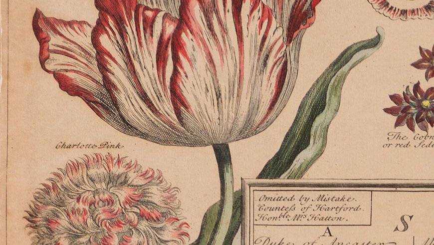 Custis Square Site - Colonial Williamsburg