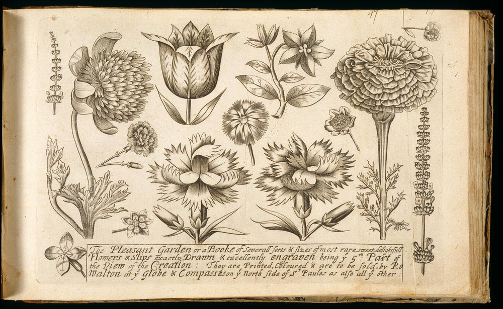 Friends of the Library - Colonial Williamsburg