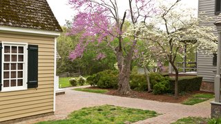 Robert Carter Kitchen - Colonial Williamsburg