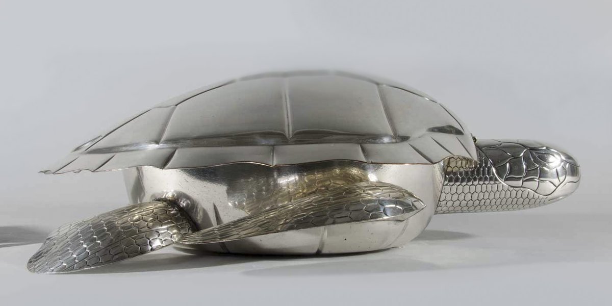 Conserving Sir Reginald the Turtle - Colonial Williamsburg