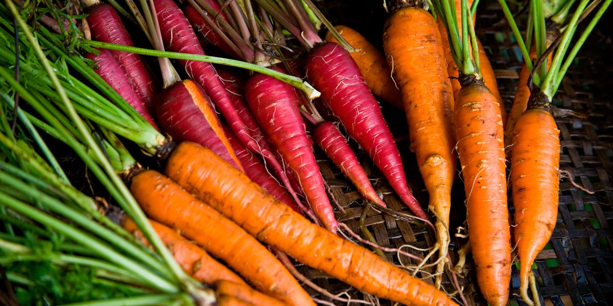 How to Make Carrot Puffs - Colonial Williamsburg