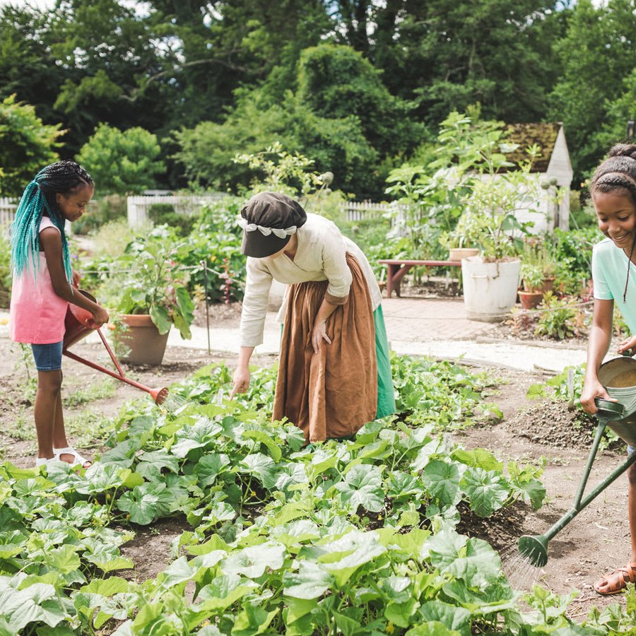 Historic Trades & Skills - Colonial Williamsburg