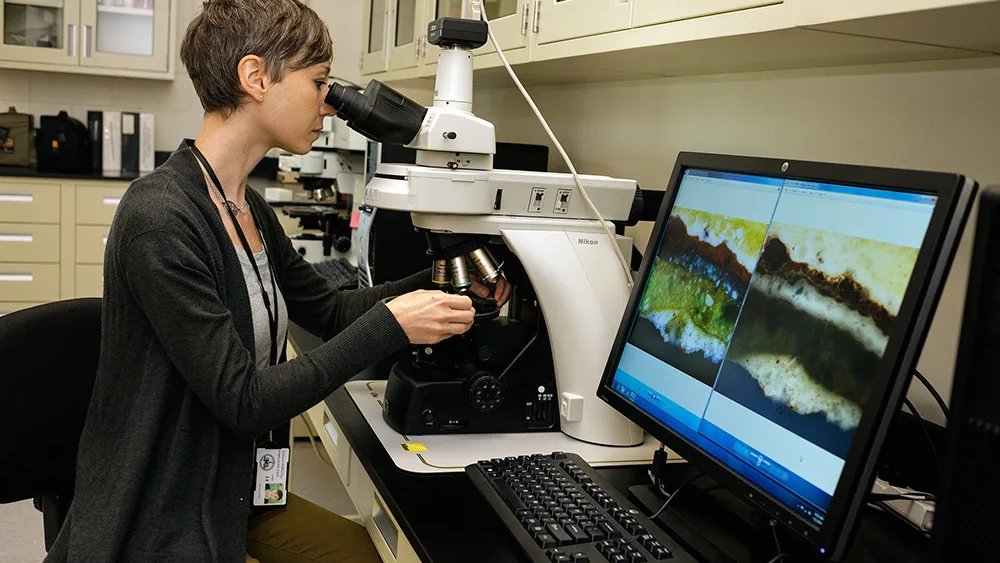 Archaeology, Conservation, & Preservation - Colonial Williamsburg