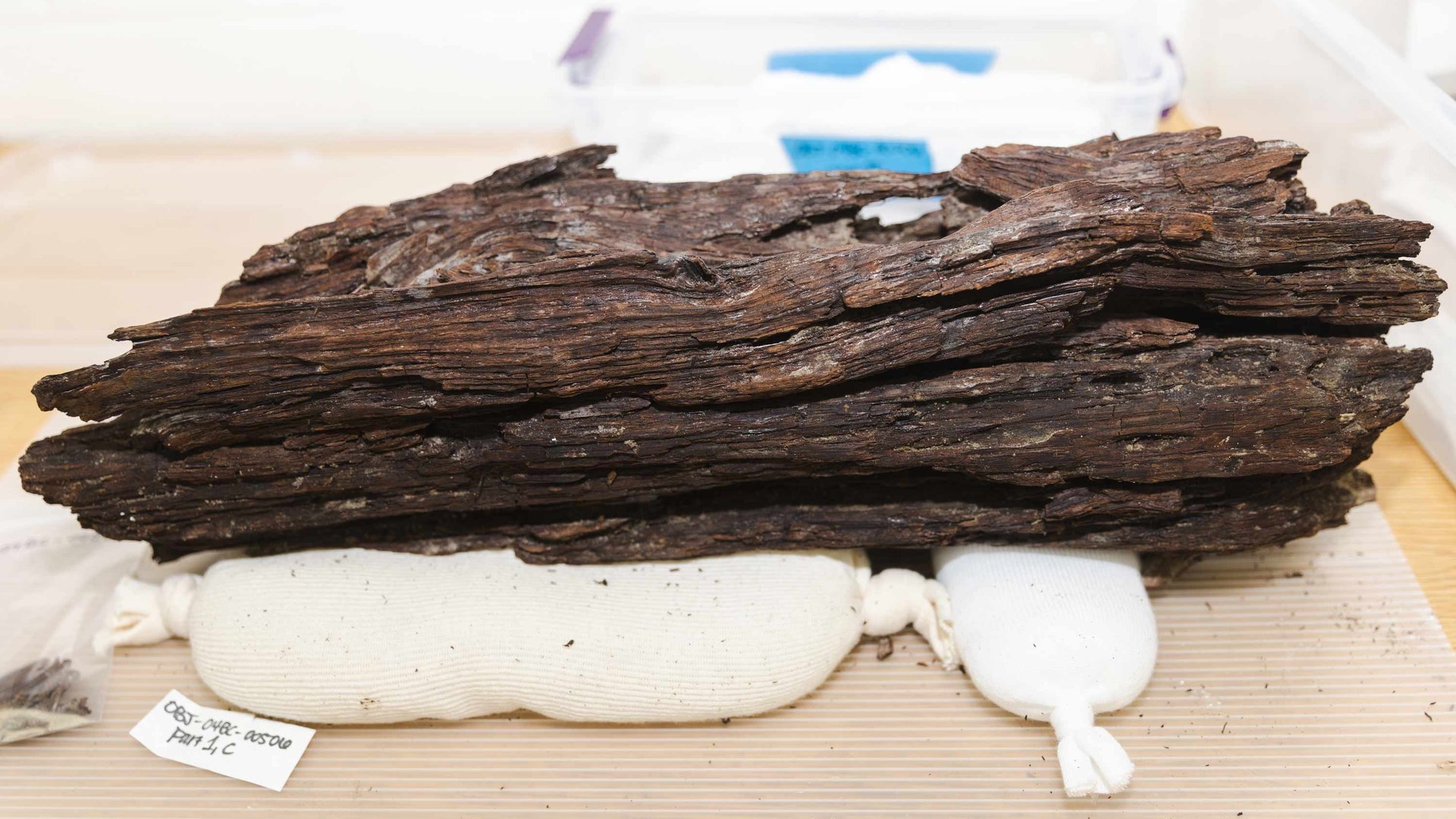 Custis Square Site - Colonial Williamsburg