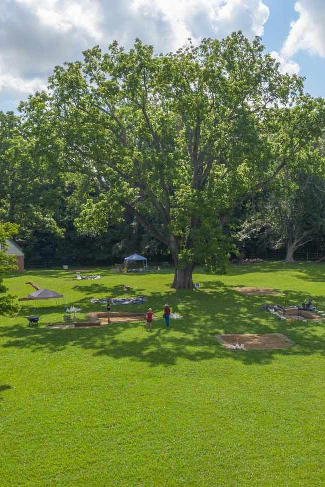 Custis Square Site - Colonial Williamsburg