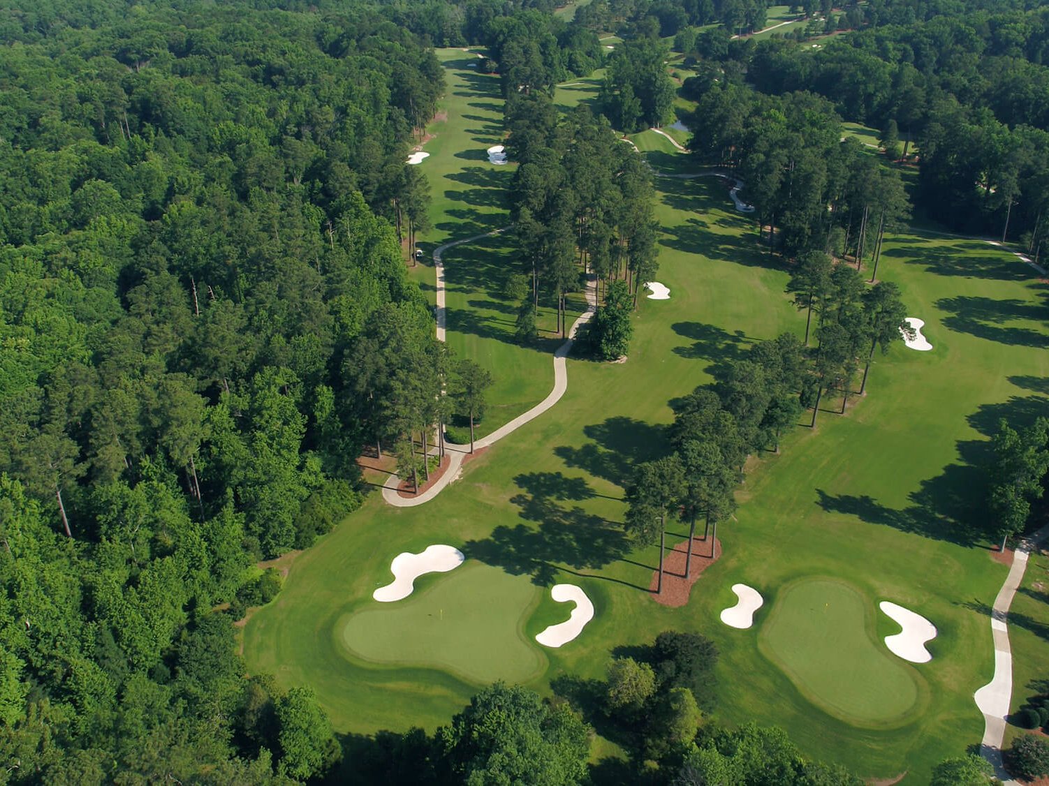 Gold Course - Colonial Williamsburg